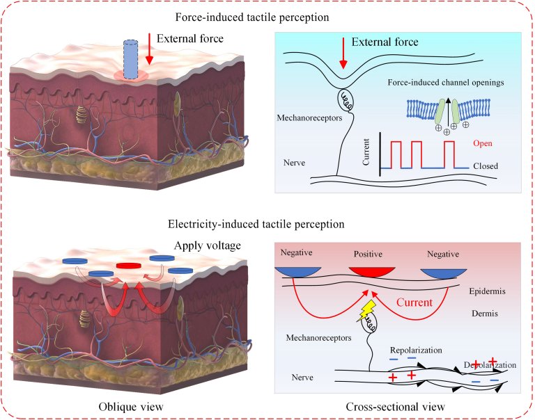 Virtualizando o sentido do tato? | Manufatura Digital